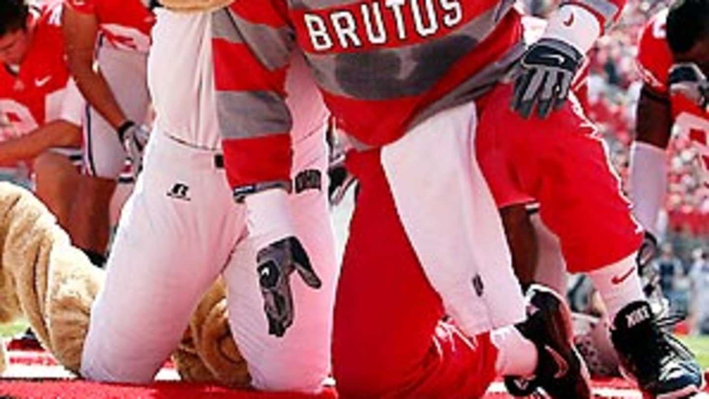 bobcat attacks brutus