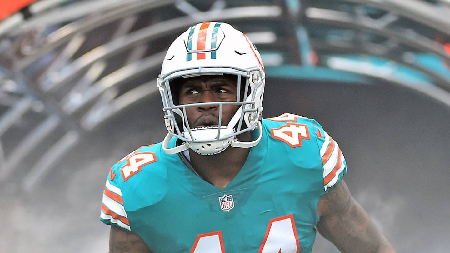 Number 44 and the Three Dolphins Who Wore It Best