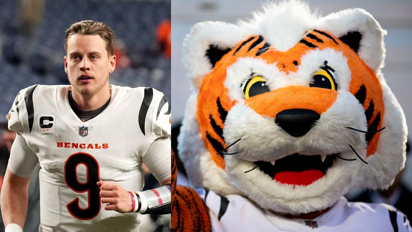Bengals Mascot Gives Hilarious Gift to Joe Burrow