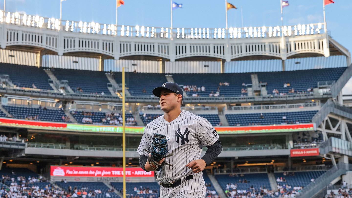 Anthony Rizzo Continues To Be 'Perfect' Fit For Yankees
