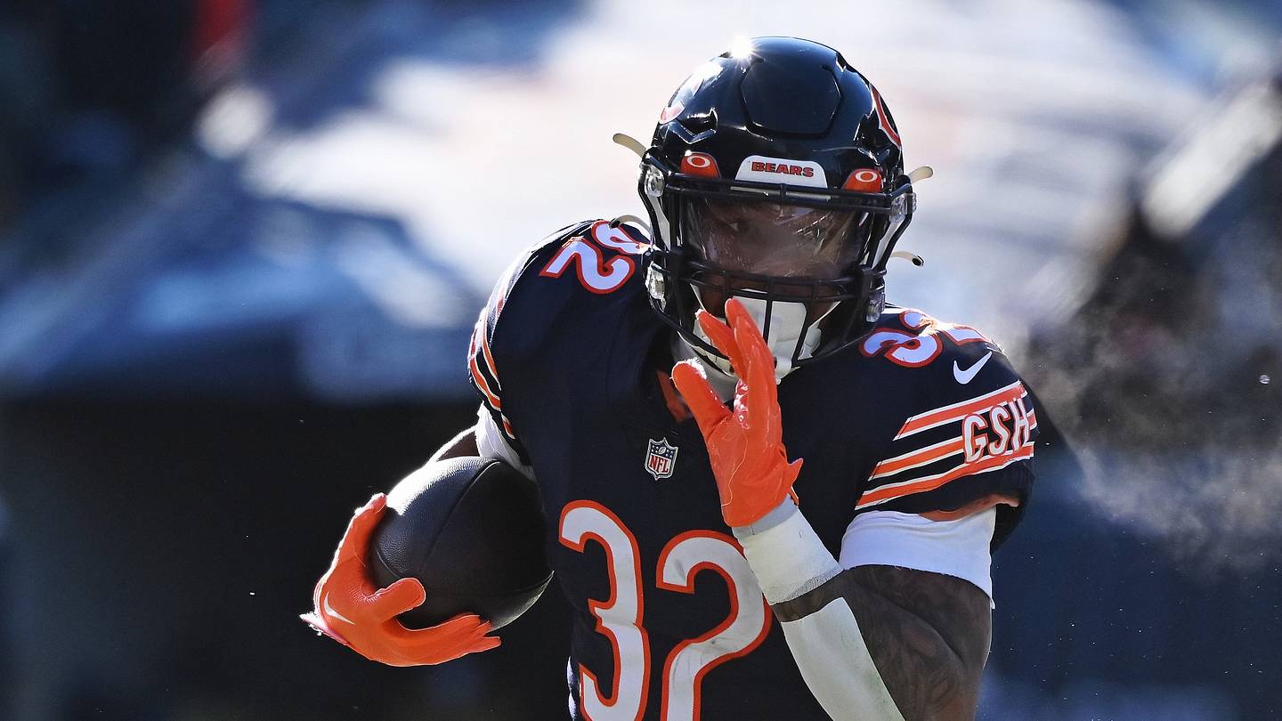 Finding Another Bears Back Won't Cost Much