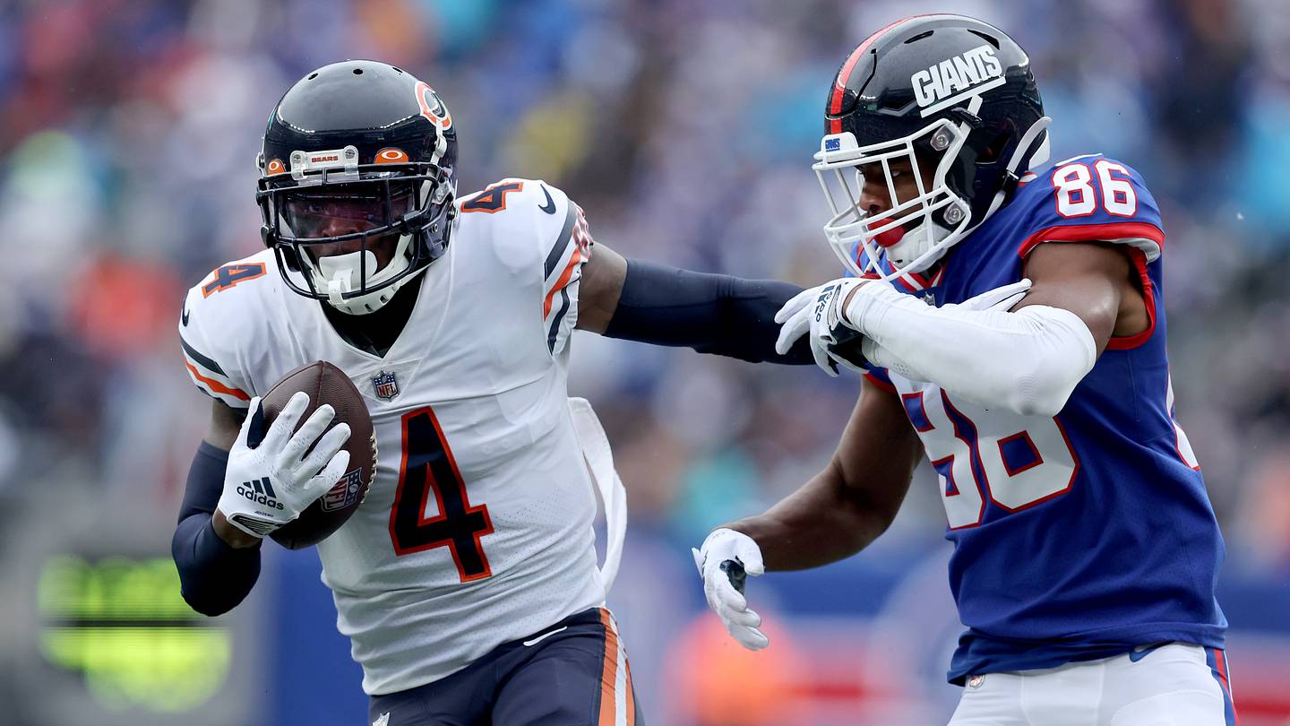 Bears Close to Full Strength