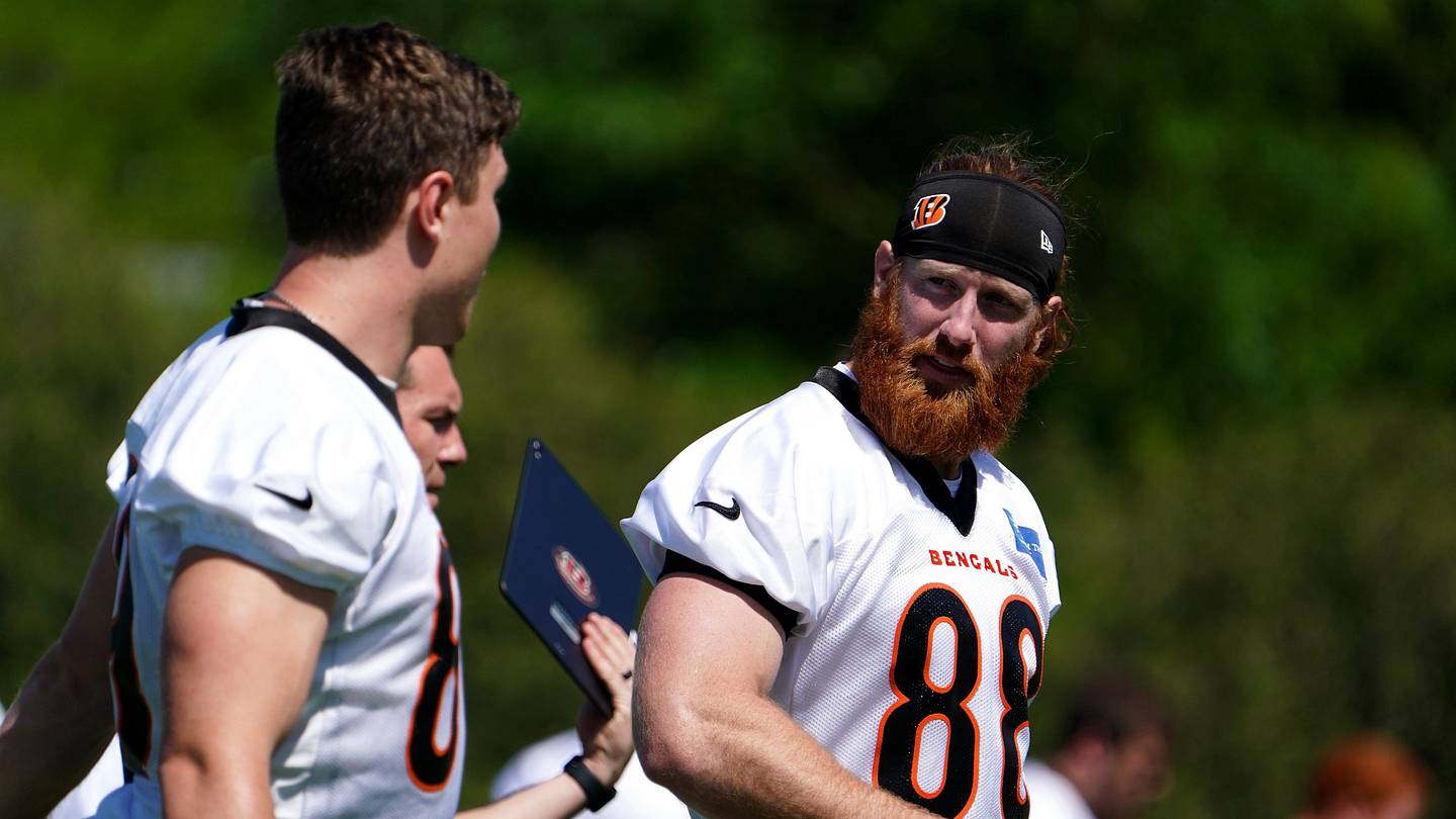 Bengals Tight End Hayden Hurst Named A Finalist For NFL's Salute to ...