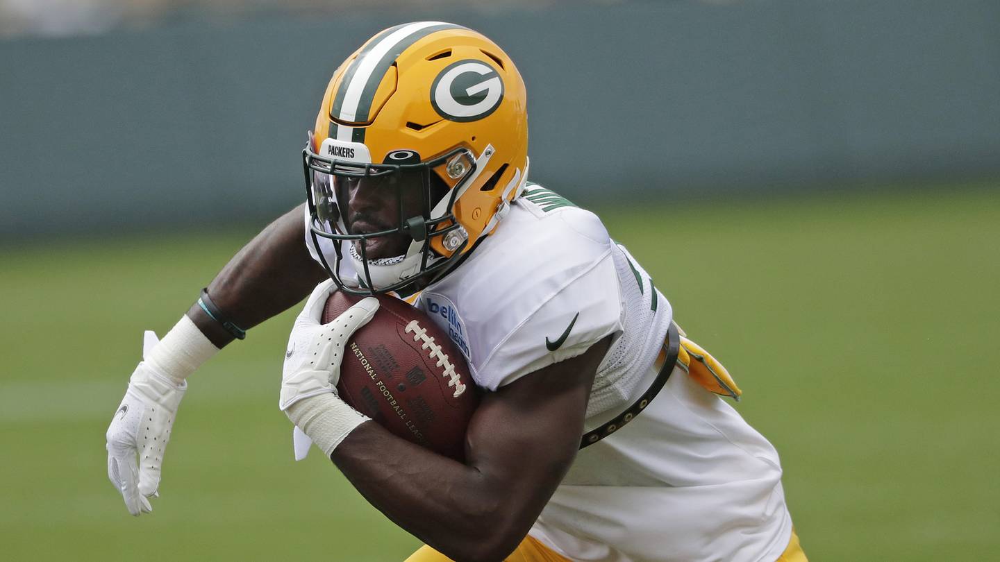 Packers Sign Running Back Dexter Williams, Safety
