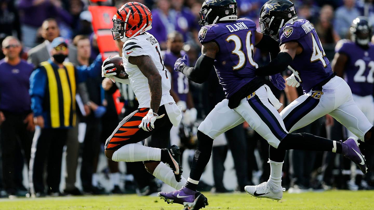 Playoff Picture: Bengals And Ravens Swap Tiebreakers With AFC North ...