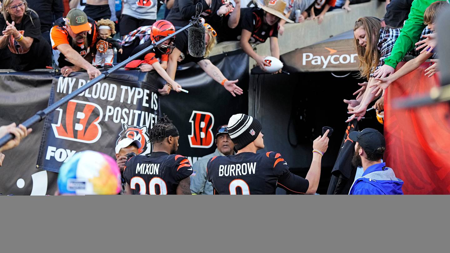 Playoff Picture: How Did Bengals Week 9 Win Impact AFC Race?