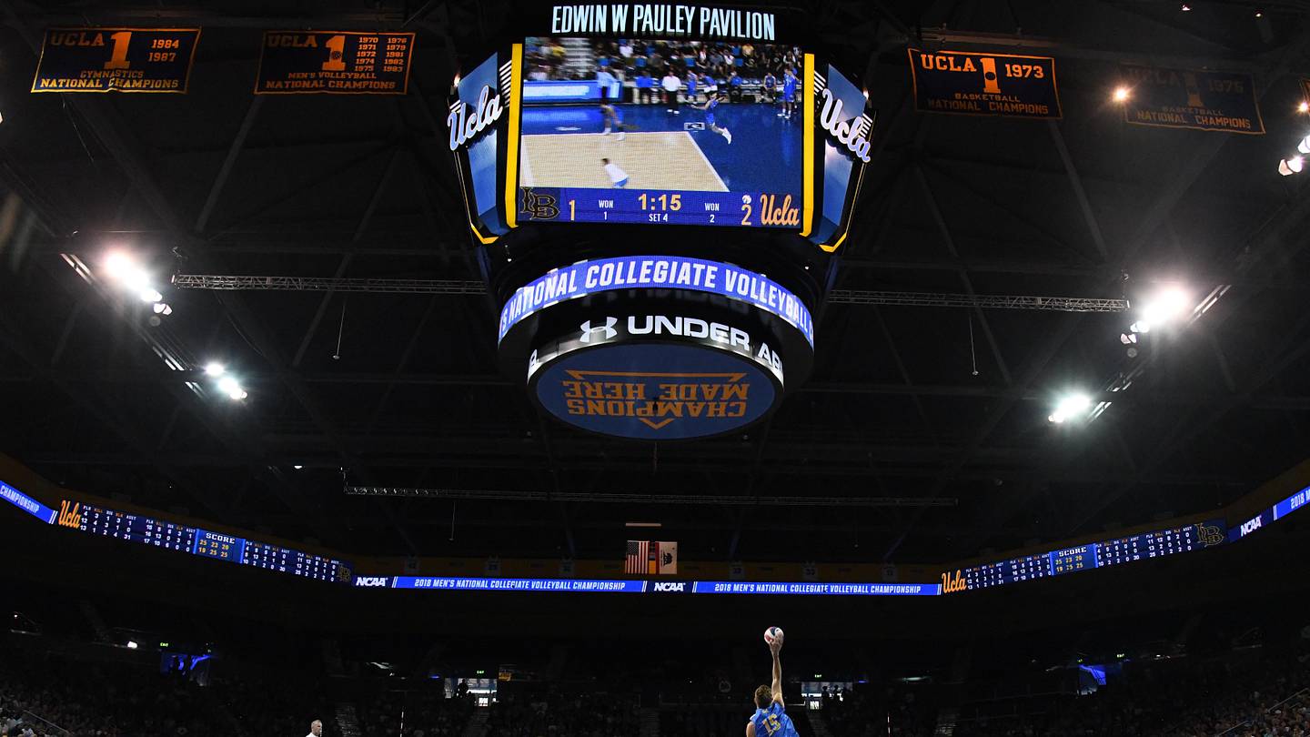 UCLA Men's Volleyball: Star Sophomore Earns National Honor