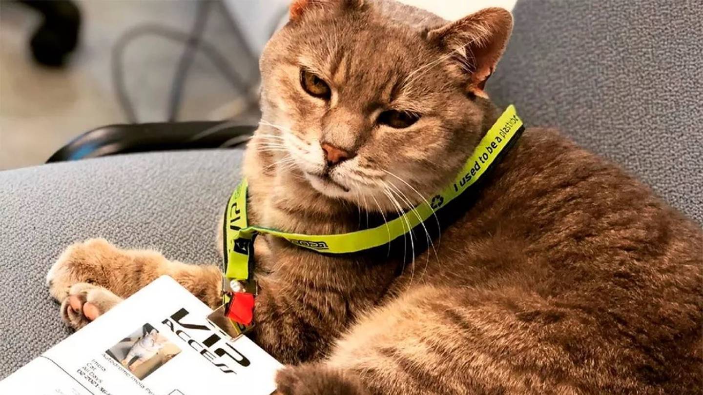 F1 News: Beloved Mascot Of Formula One Dies