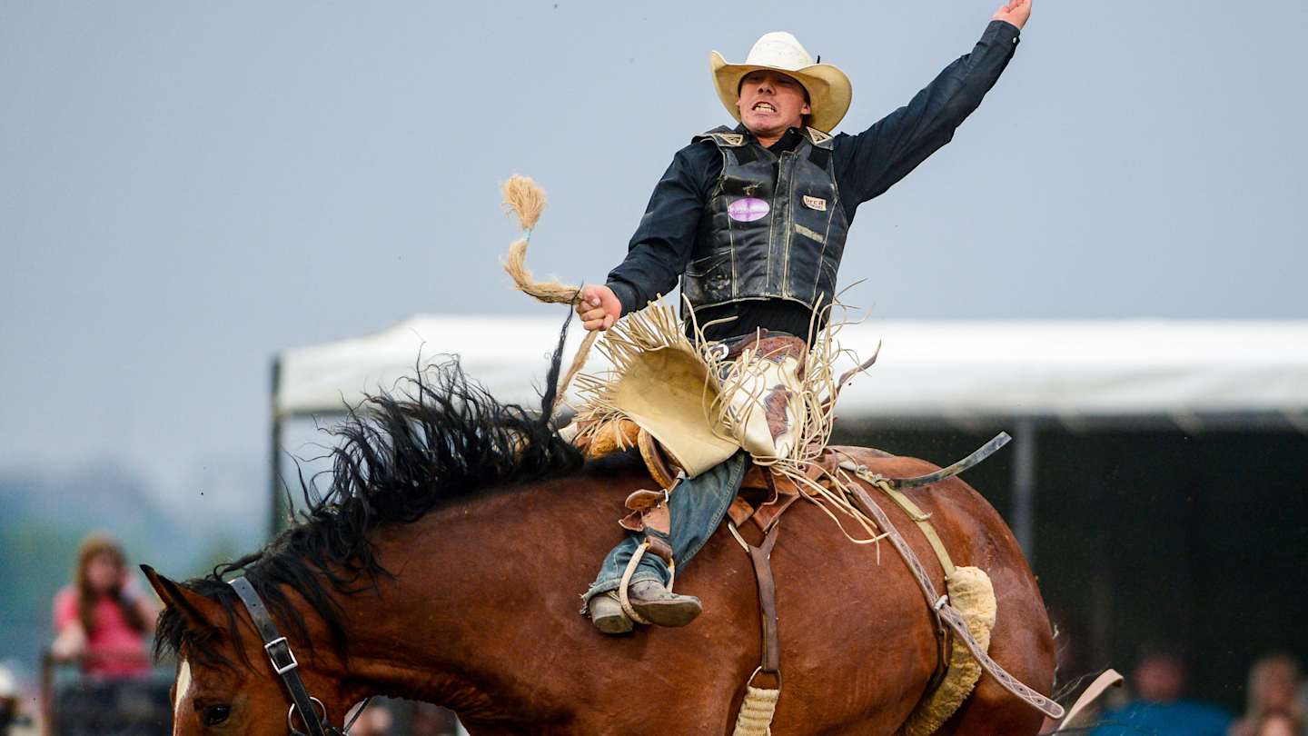 New Saddle Bronc Leader Emerges at Pendleton Round-Up