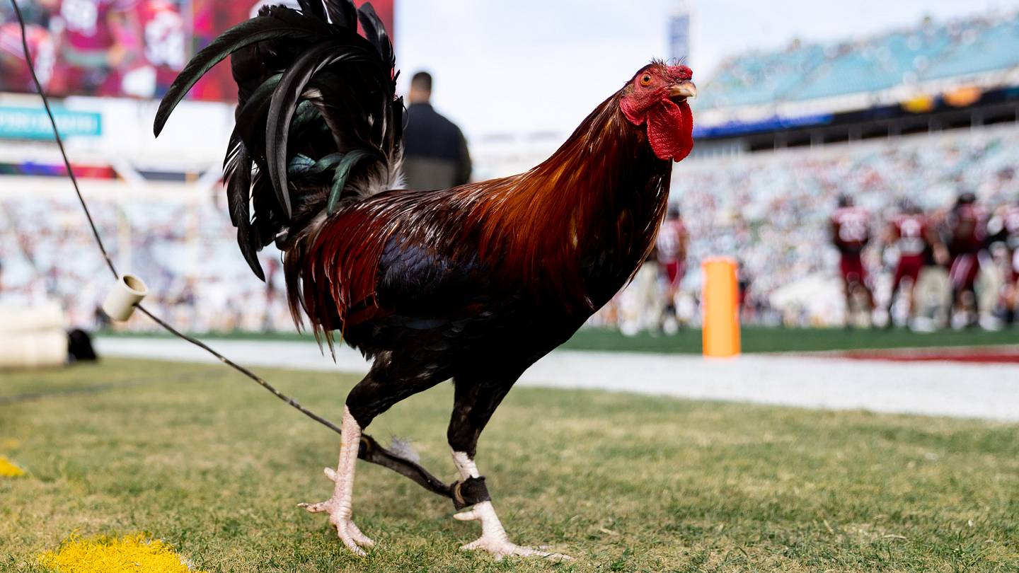 In-State 2026 WR Jordon Gidron "Really Excited" About Offer From Gamecocks