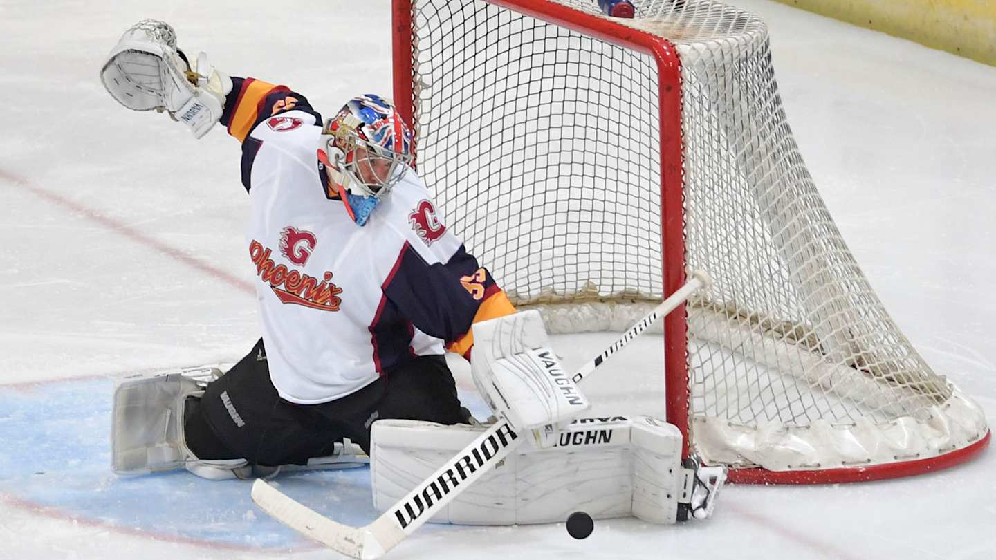 Petr Cech saves penalty in ice hockey debut - Sports Illustrated