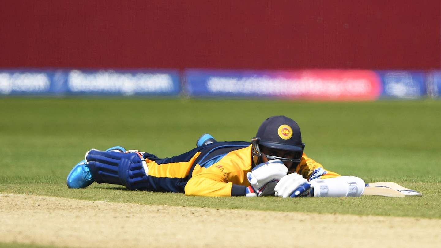 Cricket World Cup: Bees invade pitch during South Africa match - Sports ...