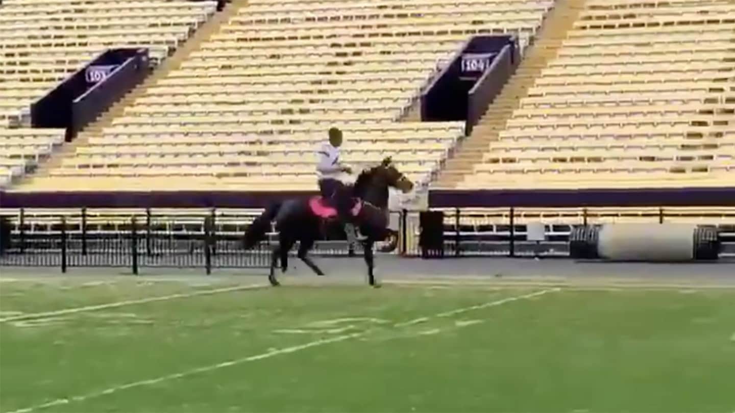 LSU Tigers football: Devin White rides horse around campus (video ...