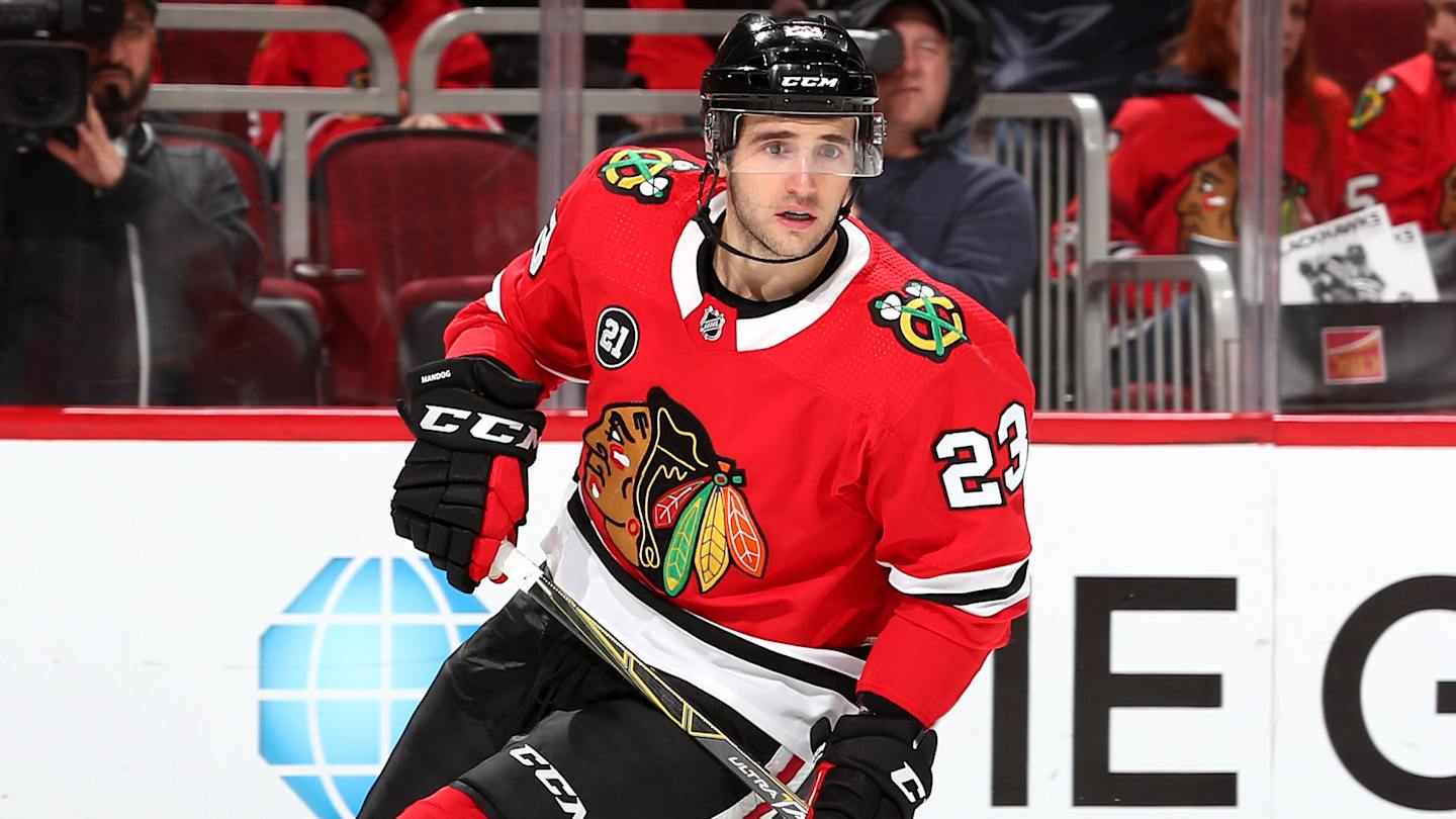 Edmonton Oilers trade for defensemen Petrovic, Manning, Norell - Sports ...