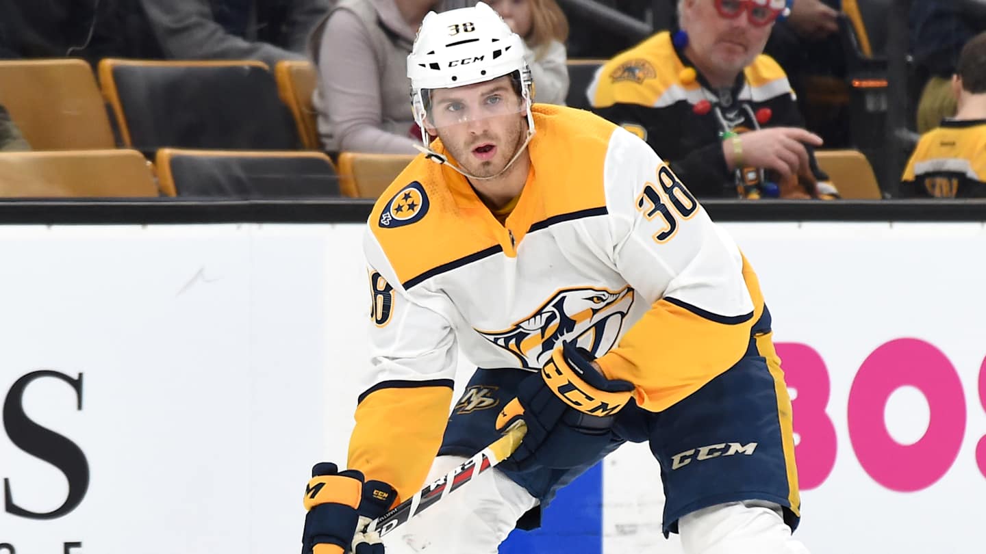 Nashville Predators: Ryan Hartman fined for spearing Chris Wagner ...