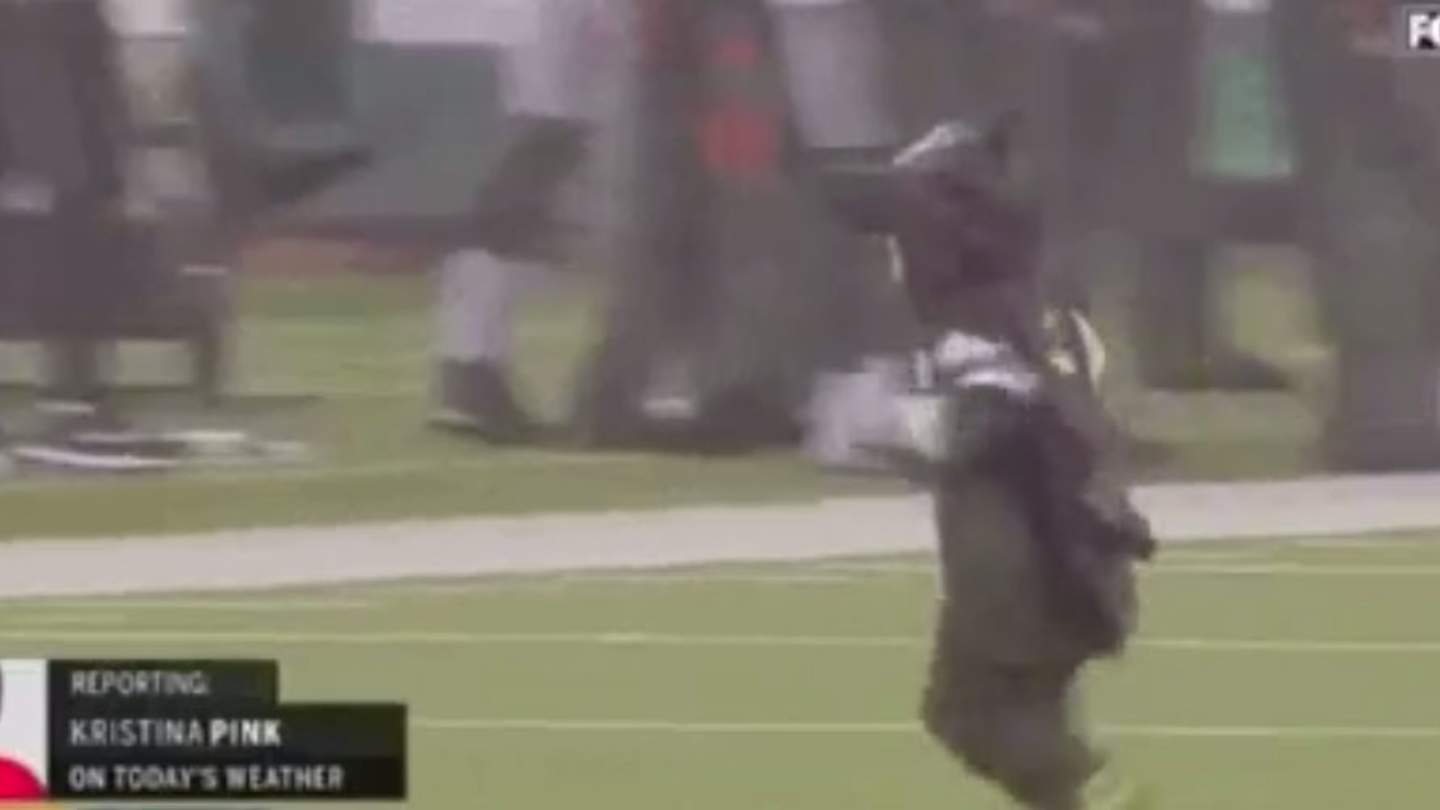 Jets vs Falcons: Kid in Batman costume runs on the field - Sports ...