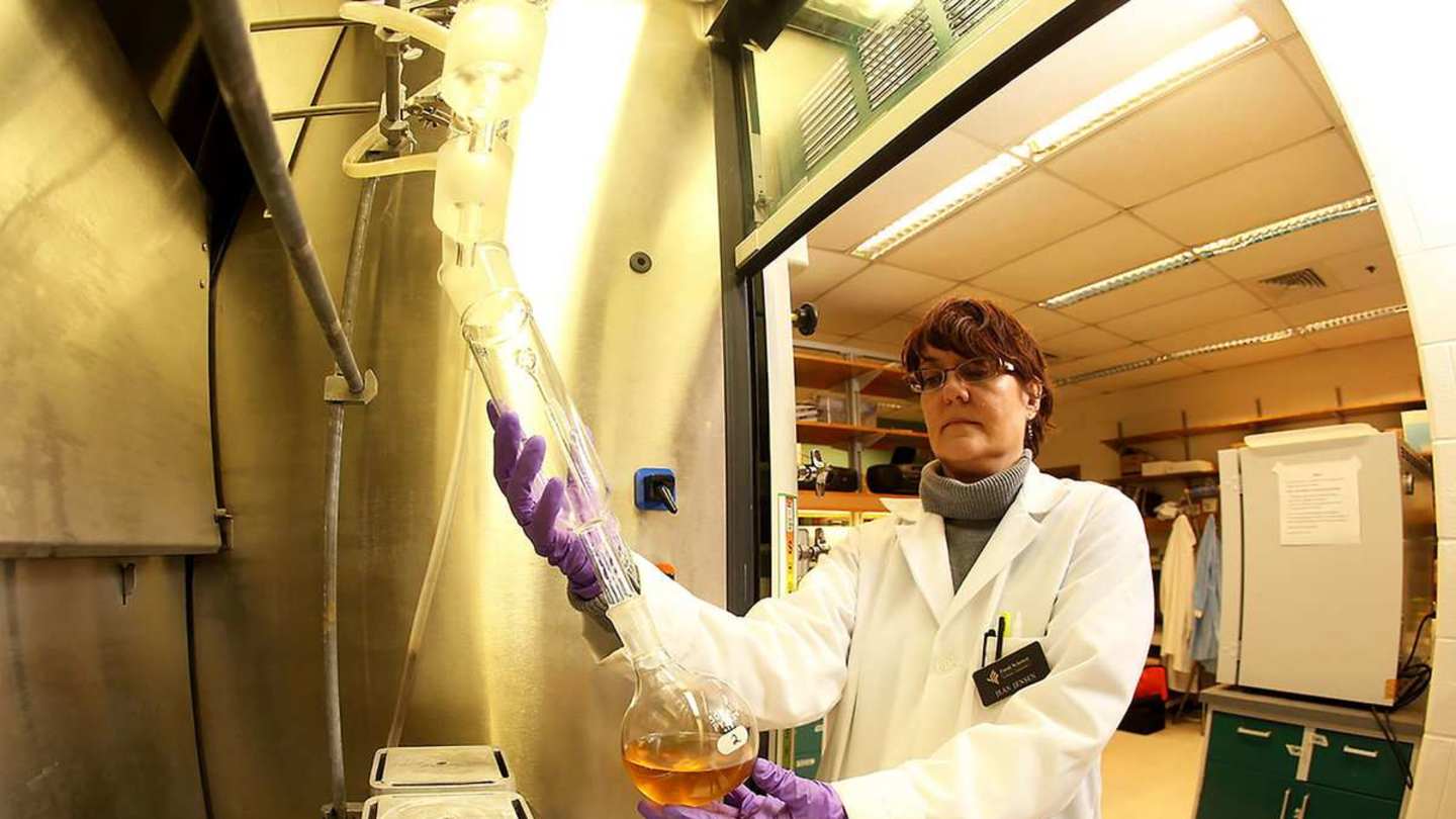 Purdue's official beer in high demand at football games - Sports ...