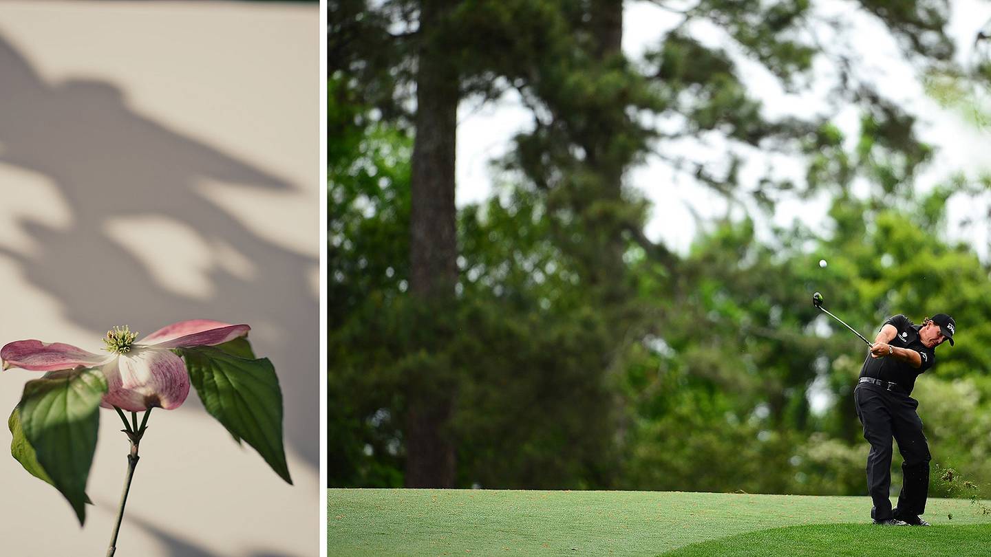 Flowers of the Masters Tournament Augusta National - Sports Illustrated