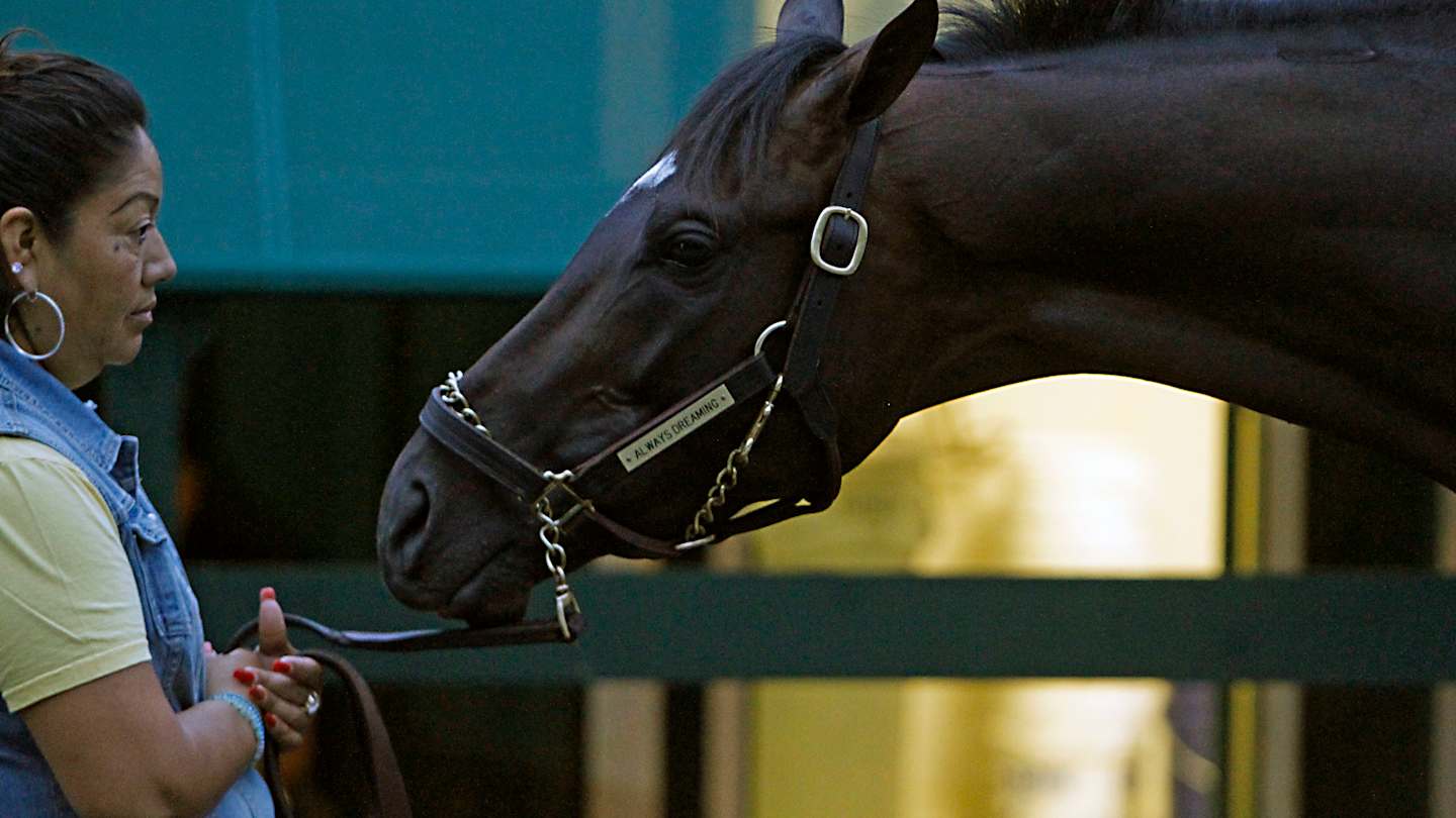 The Latest: Infield party in full swing ahead of Preakness - Sports ...