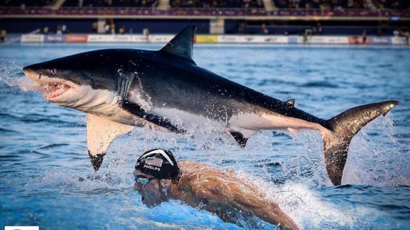 Michael Phelps vs. Shark: Battle for Ocean Supremacy (Trailer) - Sports ...