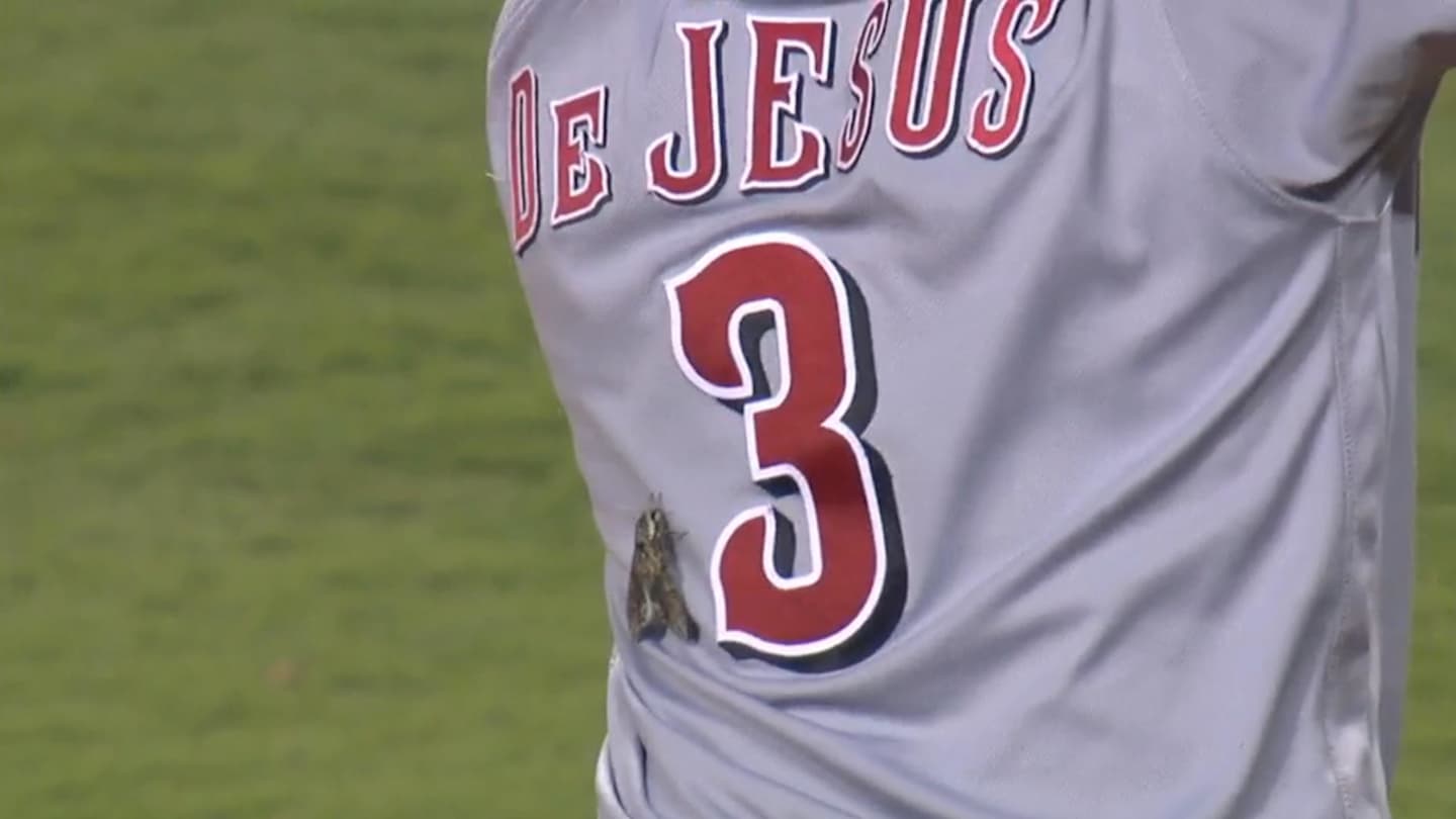 Reds' Ivan De Jesus has bird-sized moth on his back - Sports Illustrated