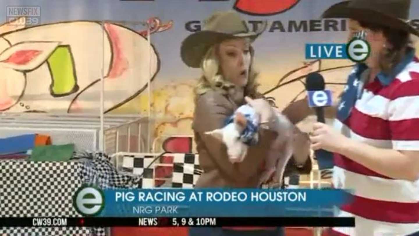 Pig poops on reporter during live TV segment (video) - Sports Illustrated