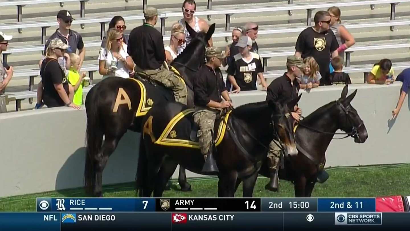 Army-Rice football: Mule craps on field, delays game - Sports Illustrated