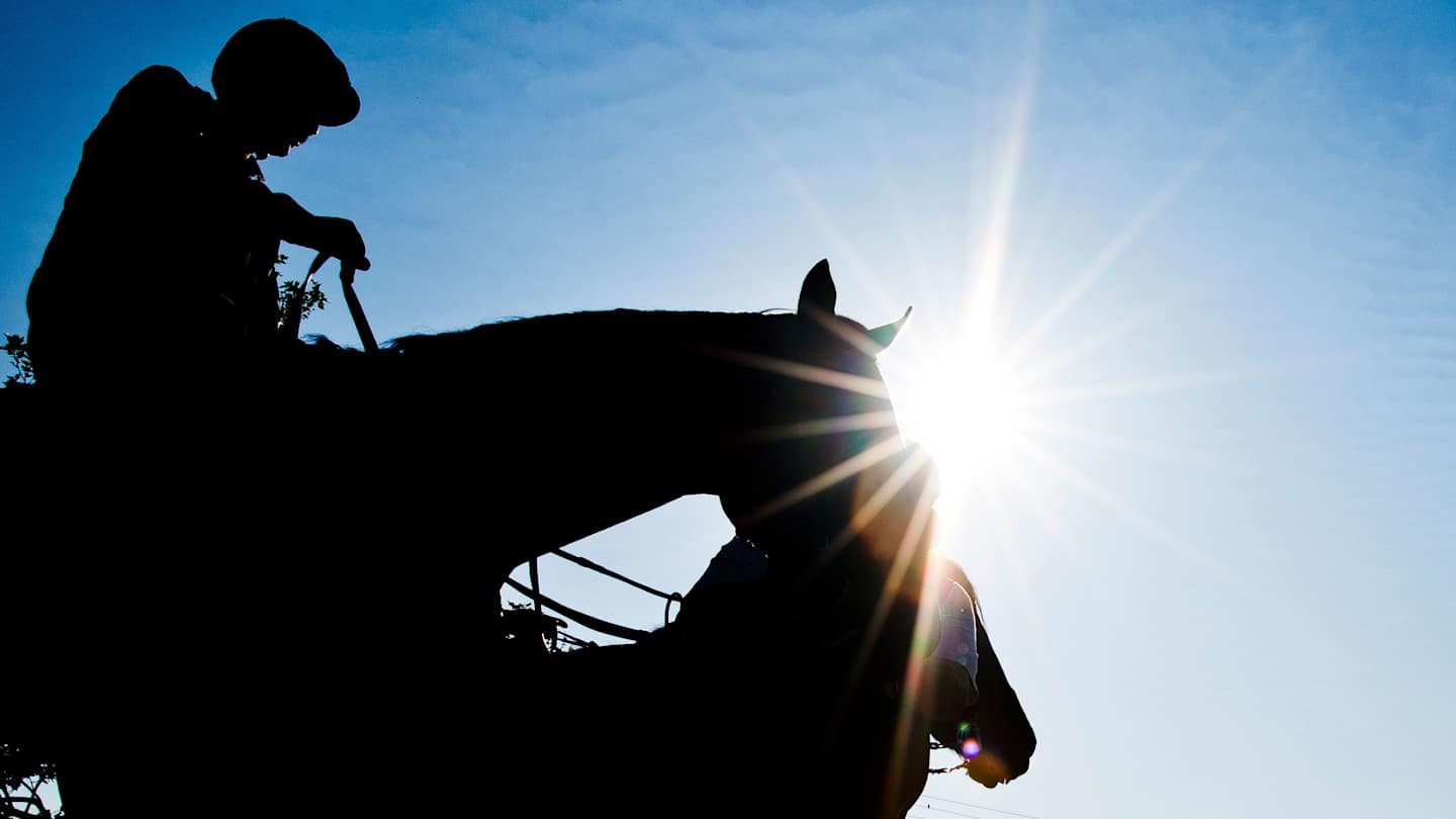 Preakness Stakes betting odds: Nyquist the favorite - Sports Illustrated