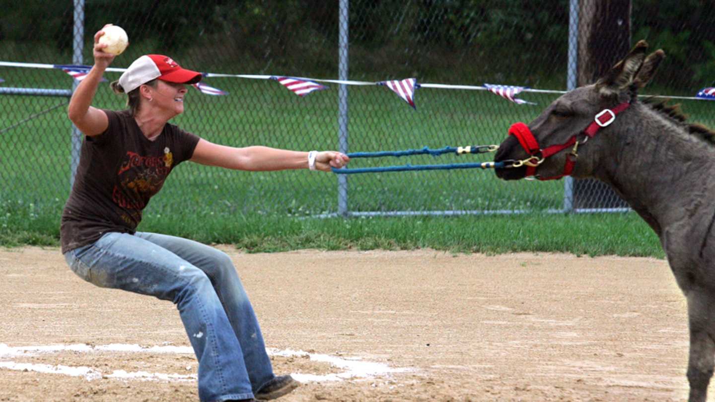 New Mexico’s Ortero county will host donkey baseball game - Sports ...