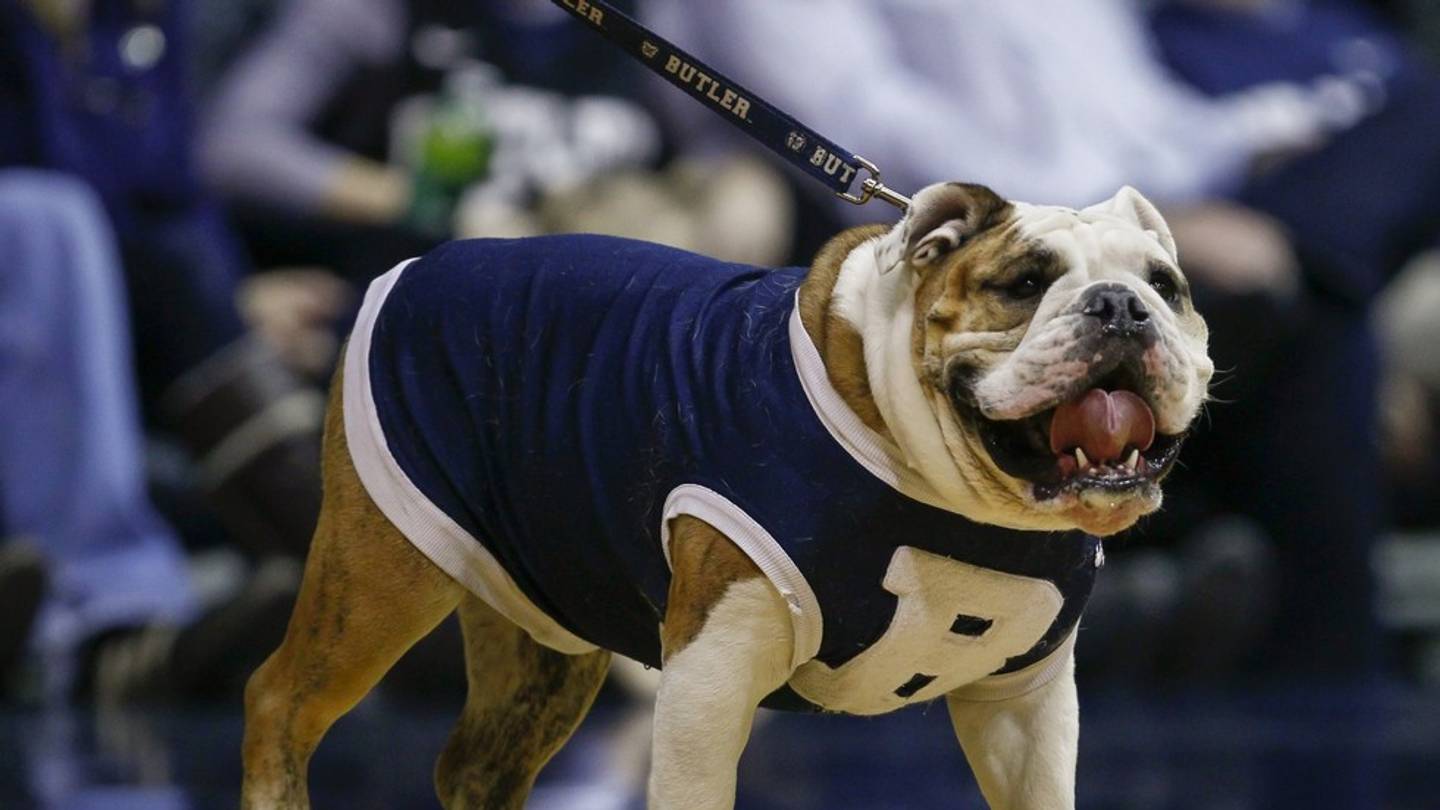 March Madness: Butler’s bulldog not allowed at game - Sports Illustrated