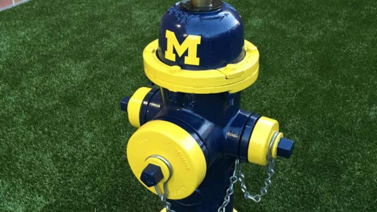 Ohio State veterinary college has Michigan fire hydrant - Sports ...