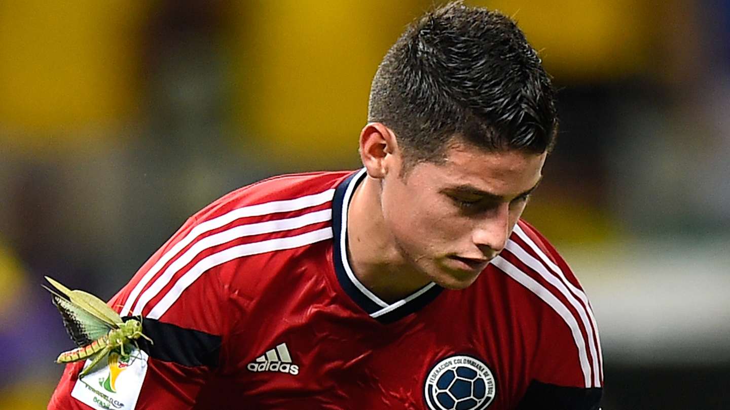A giant bug landed on James Rodriguez after he scored - Sports Illustrated