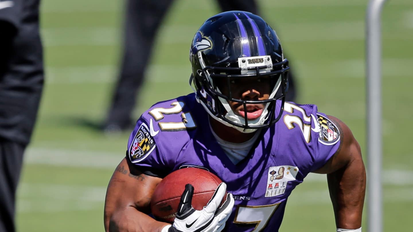 Baltimore Ravens running back Ray Rice suspended two games - Sports ...