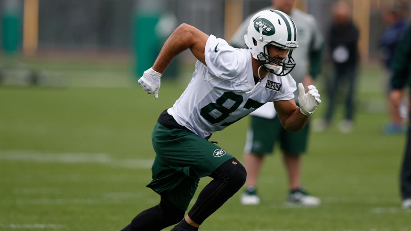 New York Jets coach Rex Ryan 'hopeful' Eric Decker, Dee Milliner can ...
