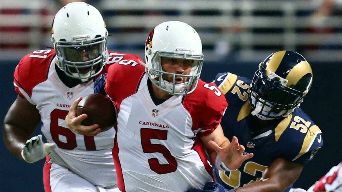 Arizona Cardinals Drew Stanton could be back for playoffs - Sports ...