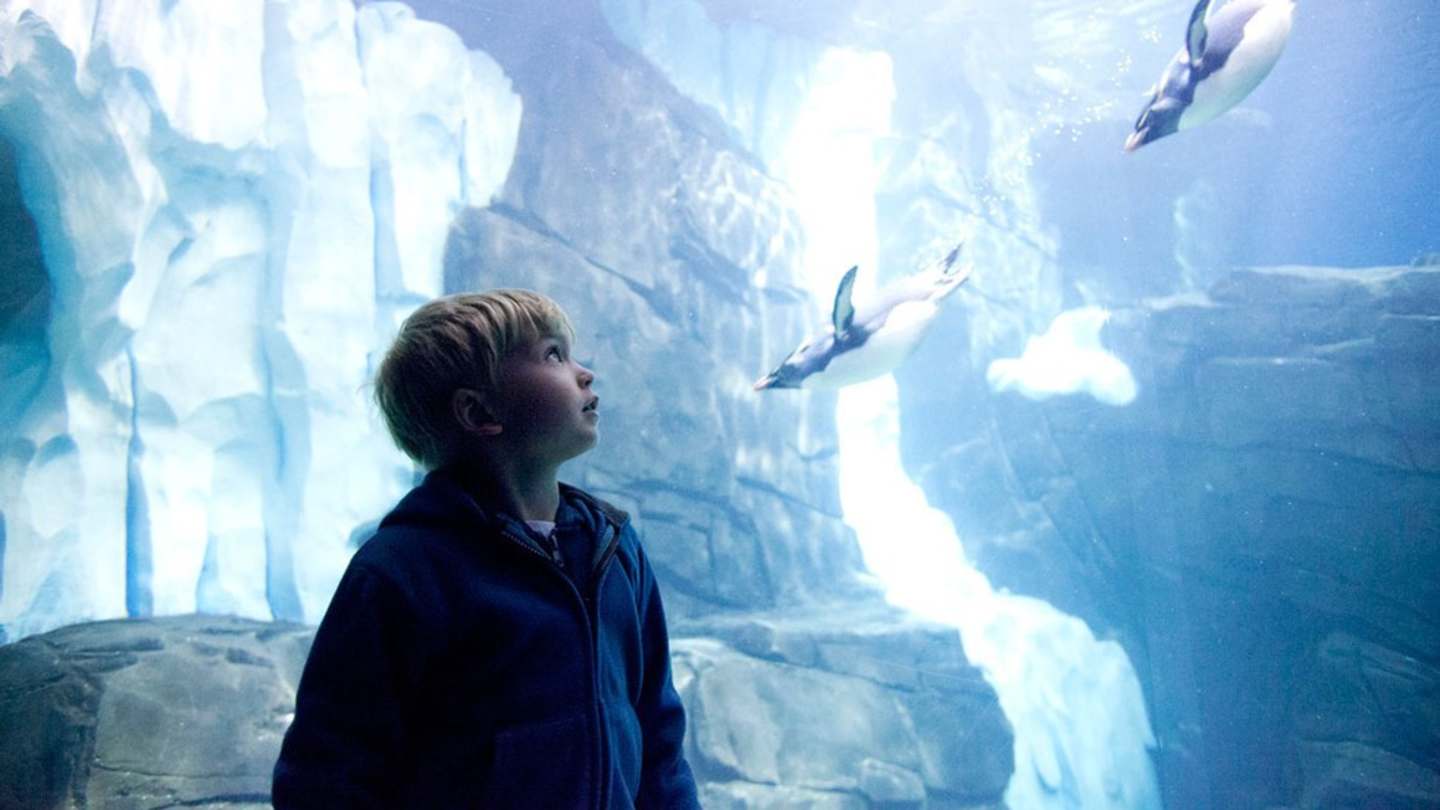 Chad Carr, a Michigan inspiration, dies after battle with brain cancer ...