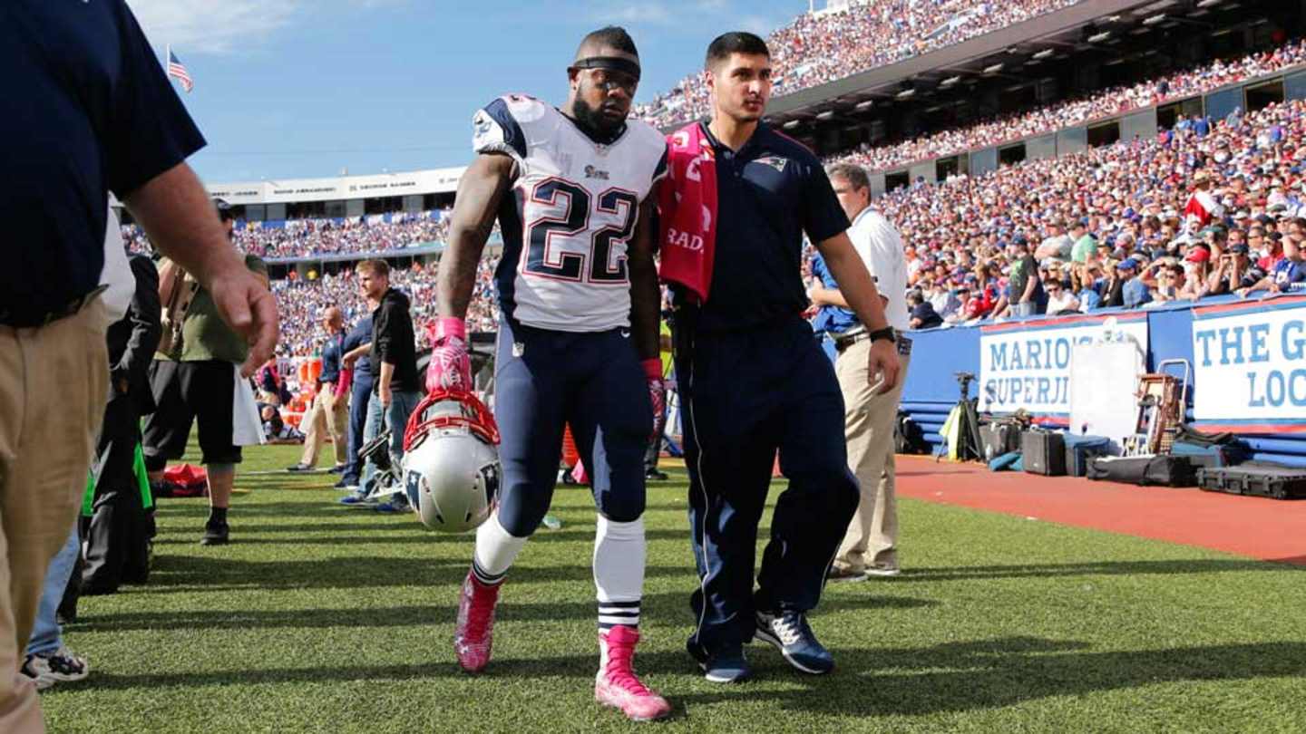 New York Jets roster: Running back Stevan Ridley joins team - Sports ...