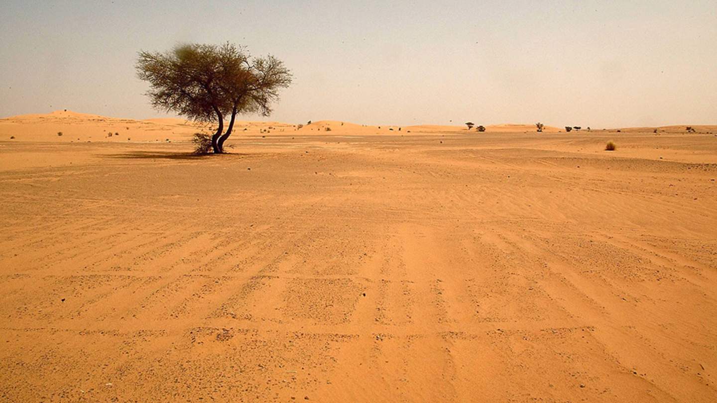 MLB All-Star break: Sports on TV during baseball's downtime - Sports ...