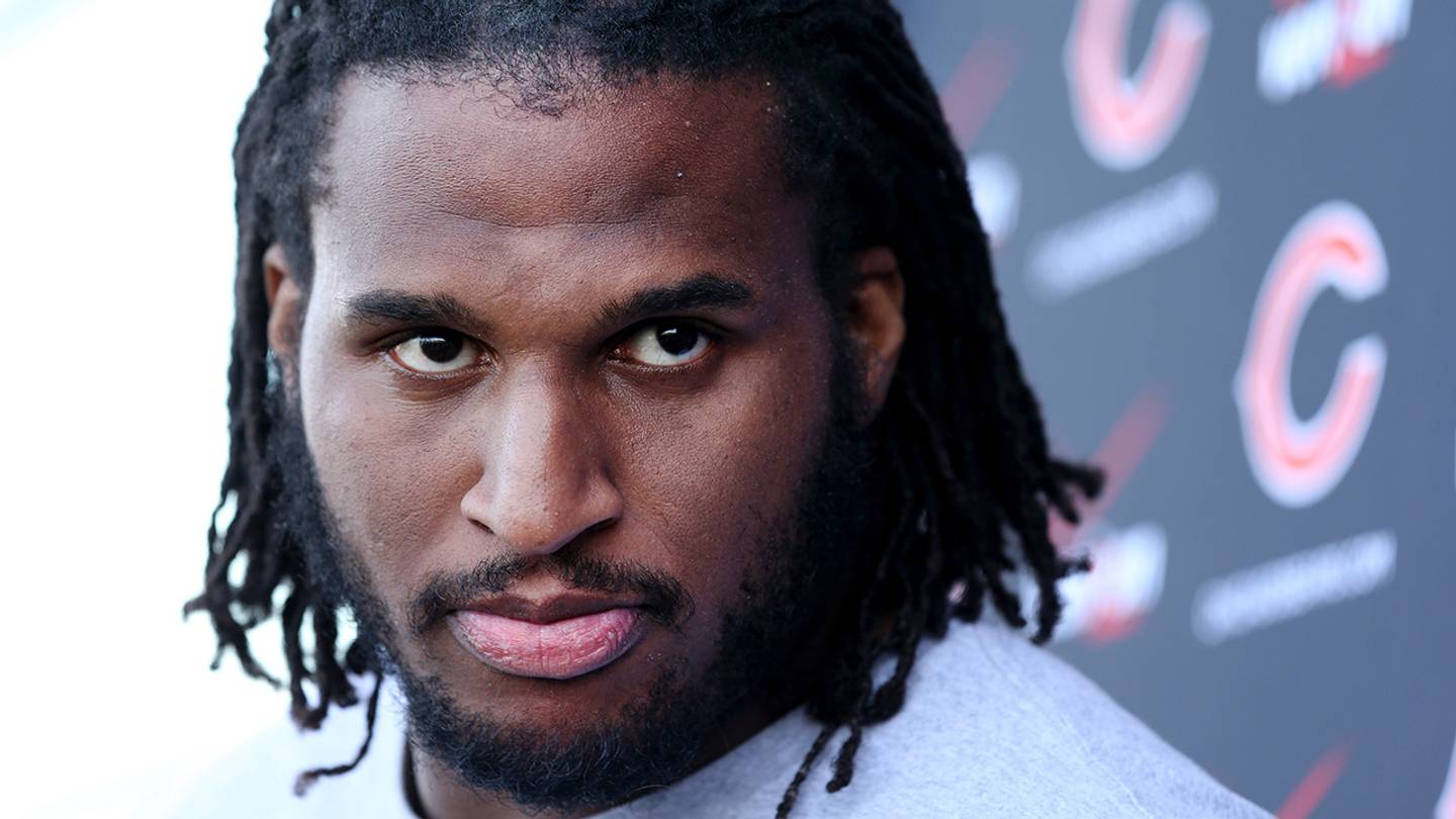 Chicago Bears release Ray McDonald after domestic violence arrest ...