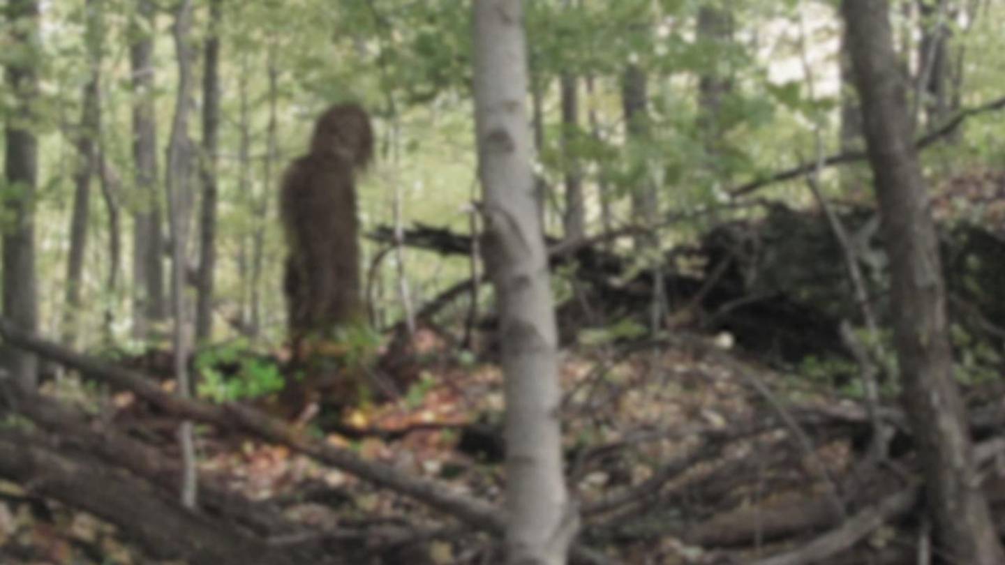 Meet The League's Newest Prospect: Sasquatch - Sports Illustrated