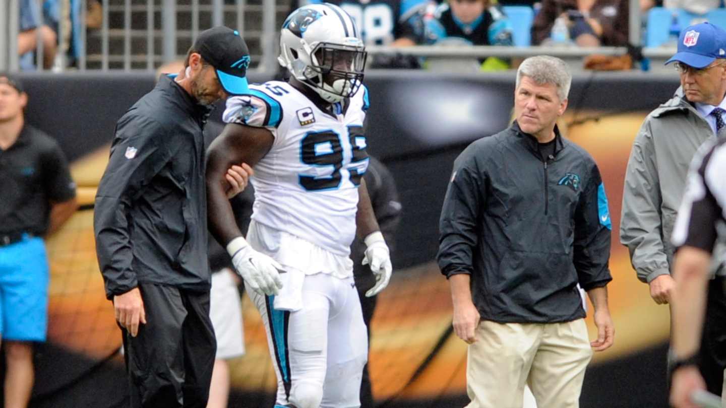 Carolina Panthers: Charles Johnson placed on IR, could return - Sports ...