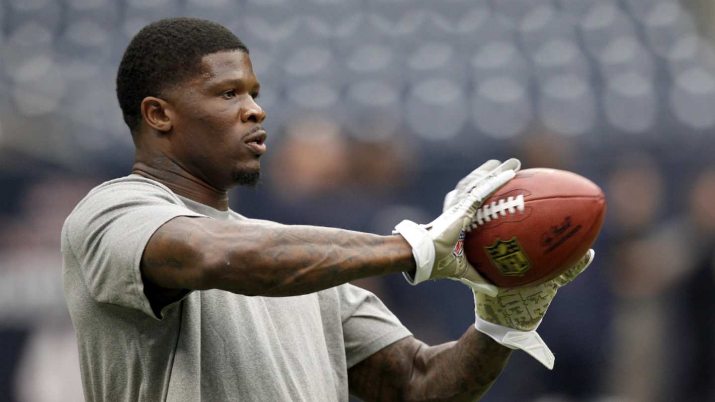 Wide Receiver Andre Johnson says he wants to finish career with Houston ...