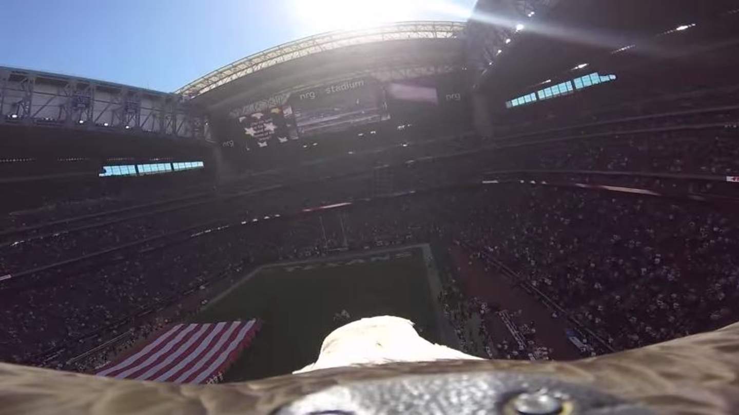 Video: Eagle with GoPro camera flies around Houston Texans' NRG Stadium ...