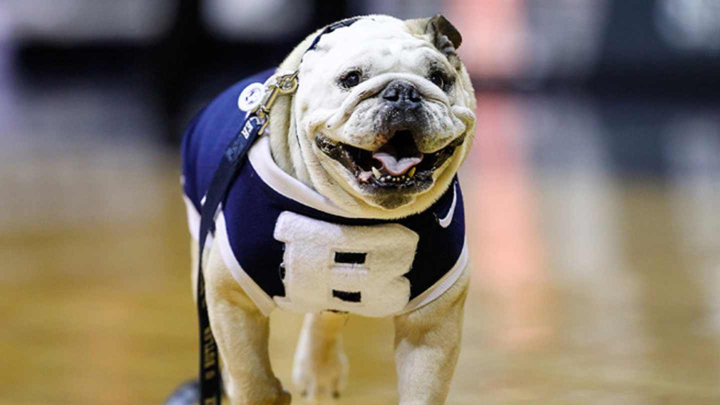Butler English bulldog mascot Blue II dies - Sports Illustrated