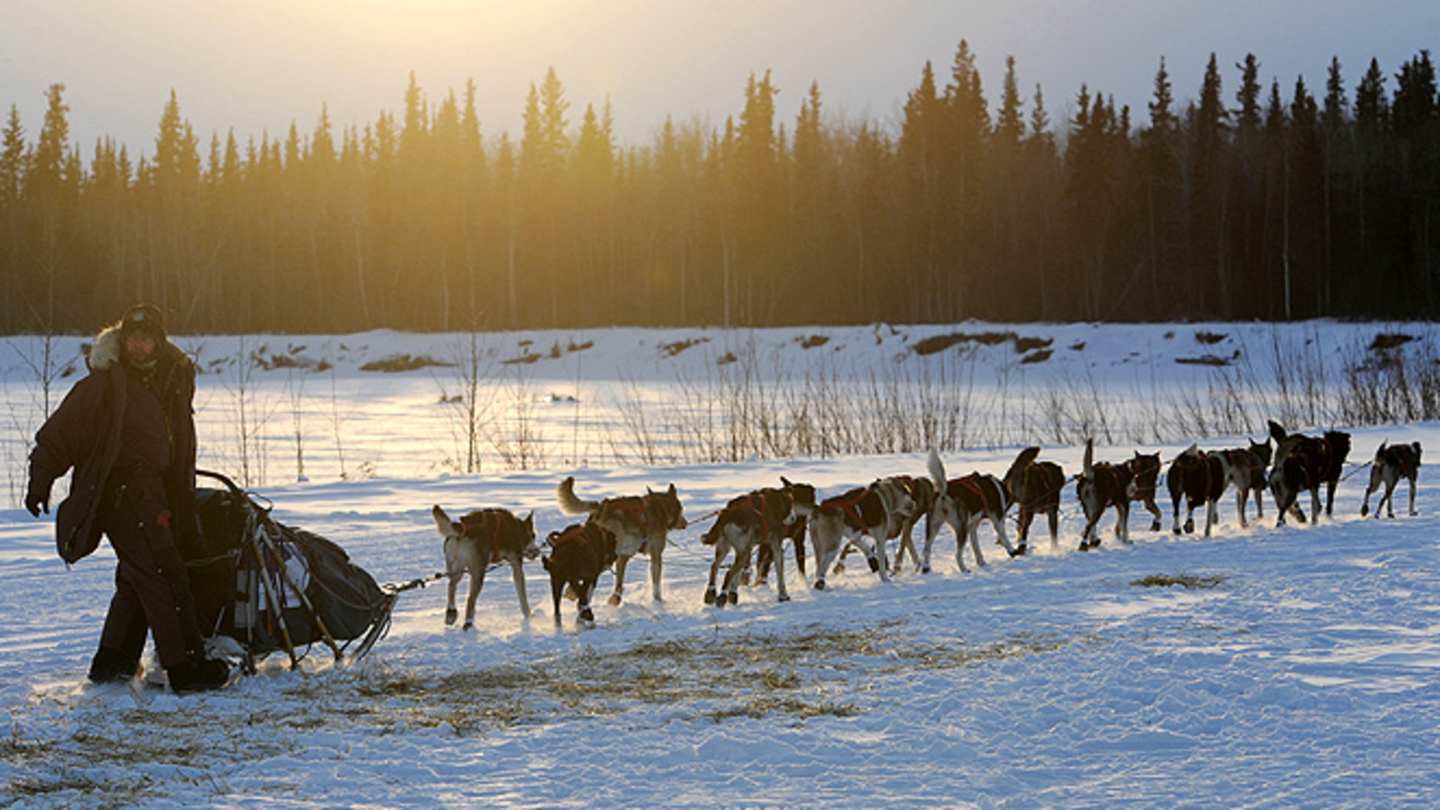 Iditarod leader will be treated to seven-course meal at next checkpoint ...