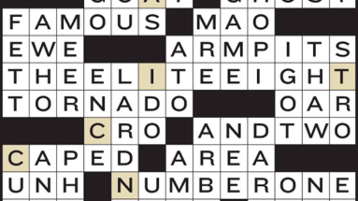 Super Stumpers: Answers to SI magazine puzzles and extra puzzles ...
