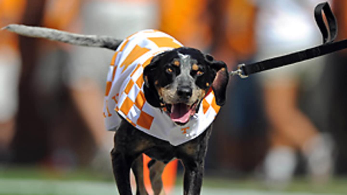 Designated Read: Vols, clear this fiery hoop - Sports Illustrated