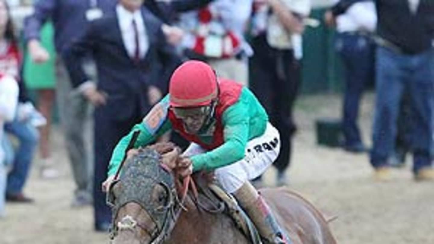 Tim Layden: Amid deluge of attention, Animal Kingdom looks poised to ...