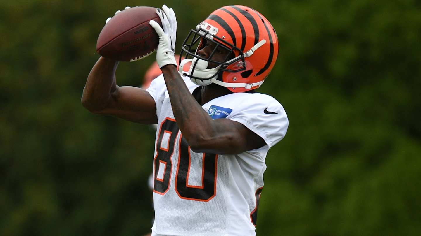 Cincinnati Bengals Make Two Surprising Cuts to Clear Path for Both ...