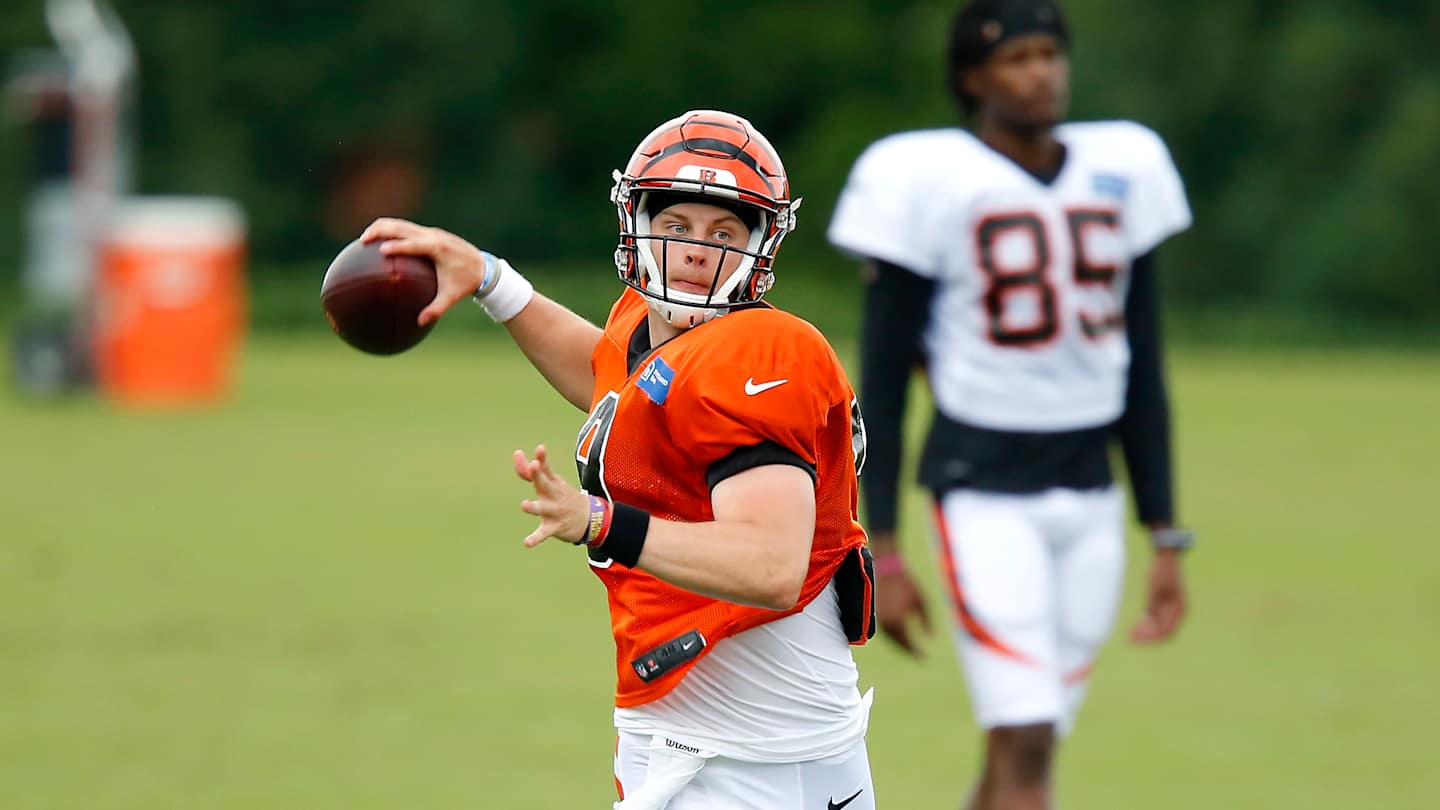 Tigers in the NFL: The LSU Football Players Who Made 53-Man Rosters for ...